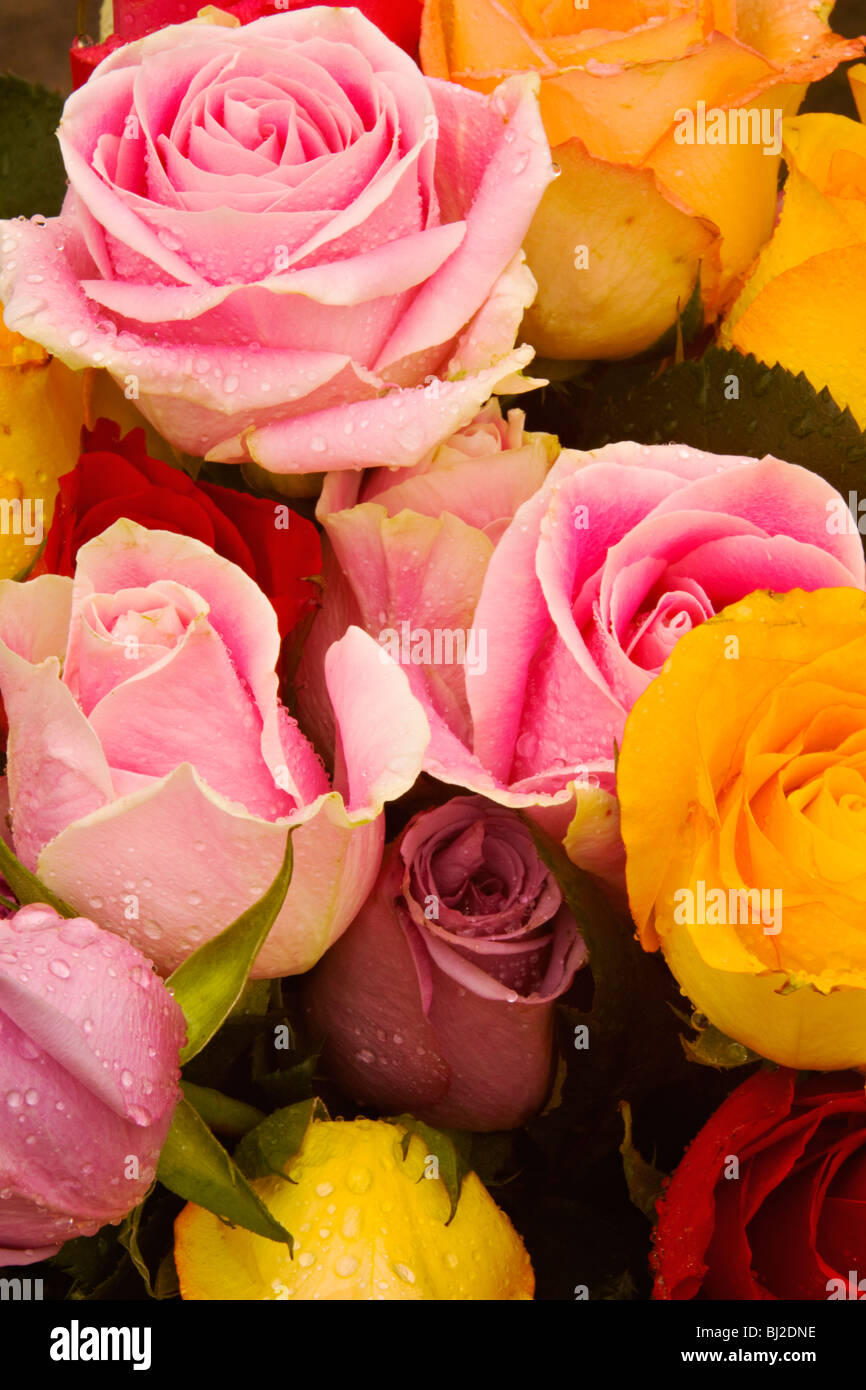 Multiple water drops hi-res stock photography and images - Alamy