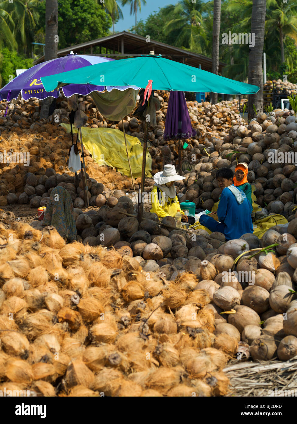 Peal hi-res stock photography and images - Alamy