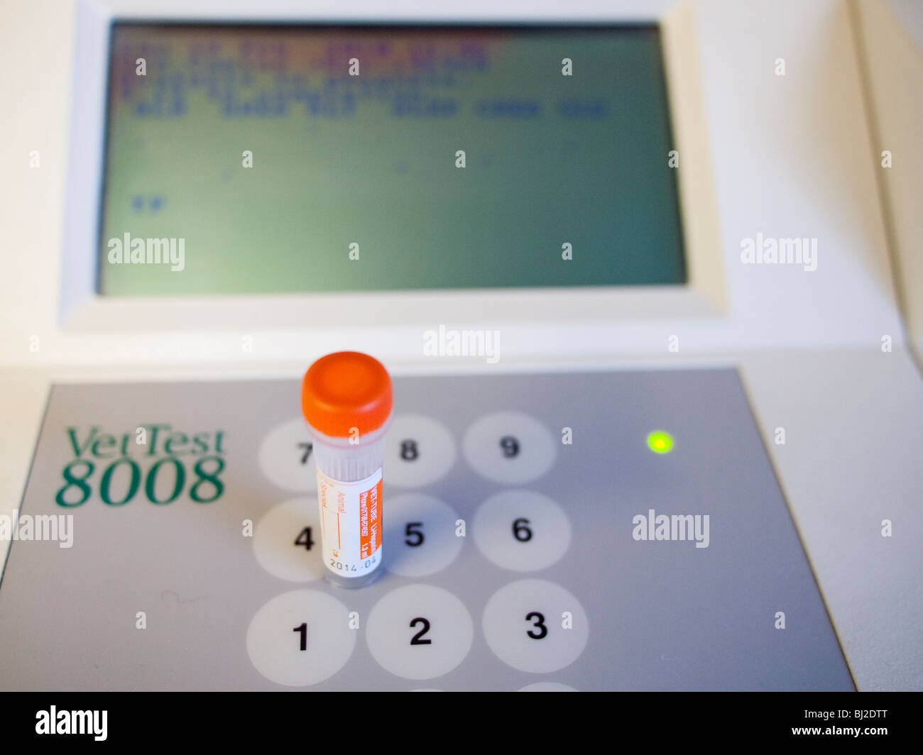 What Can Blood Tests Show In Dogs