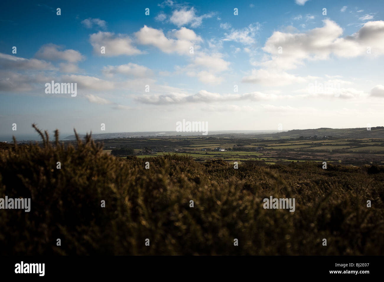 Cornish landscape of moors, fields and weathered trees at the ancient ...