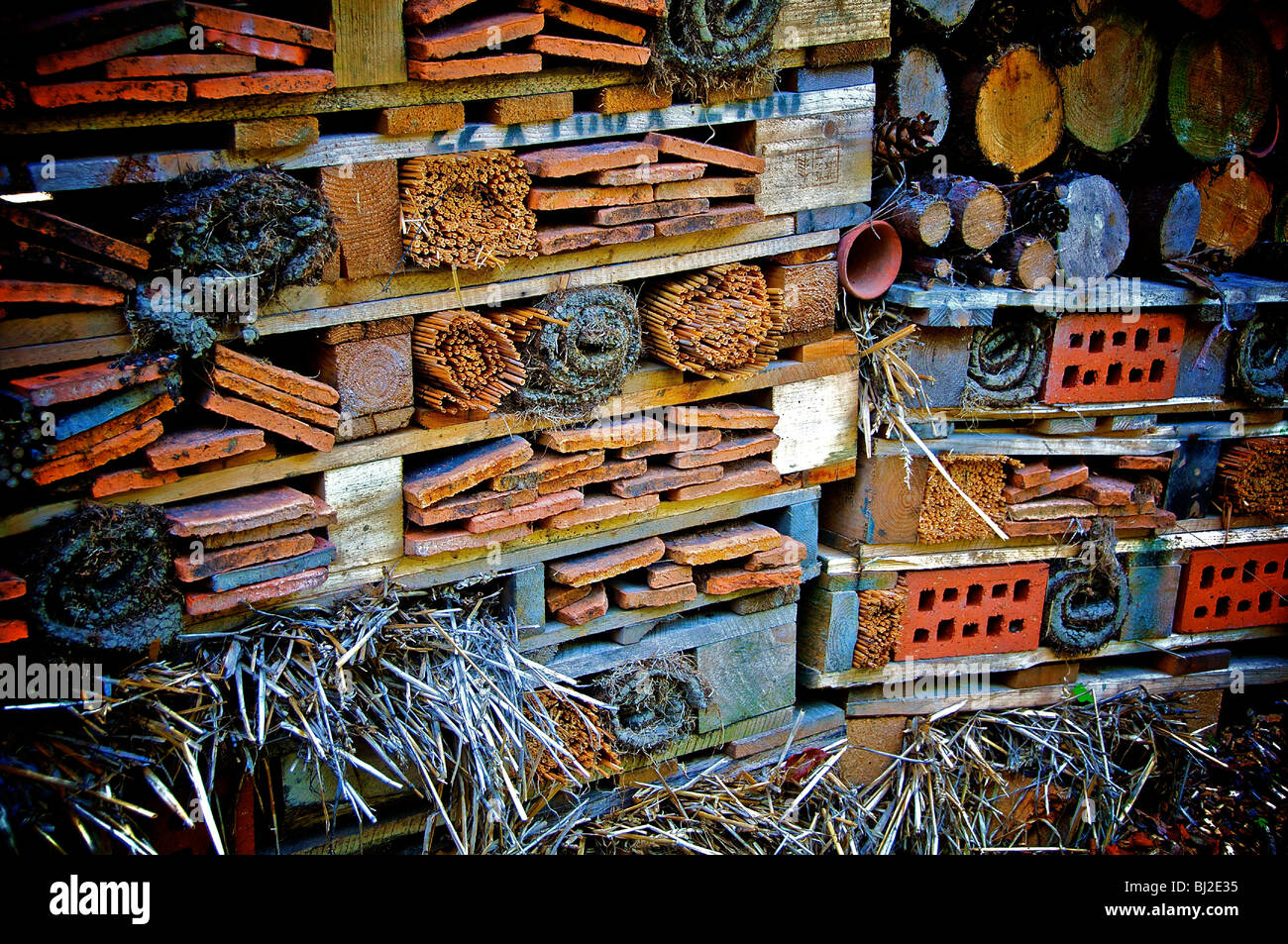 Stag Beetle Loggery, Coolings ature Trail, Knockholt, Kent, England ...