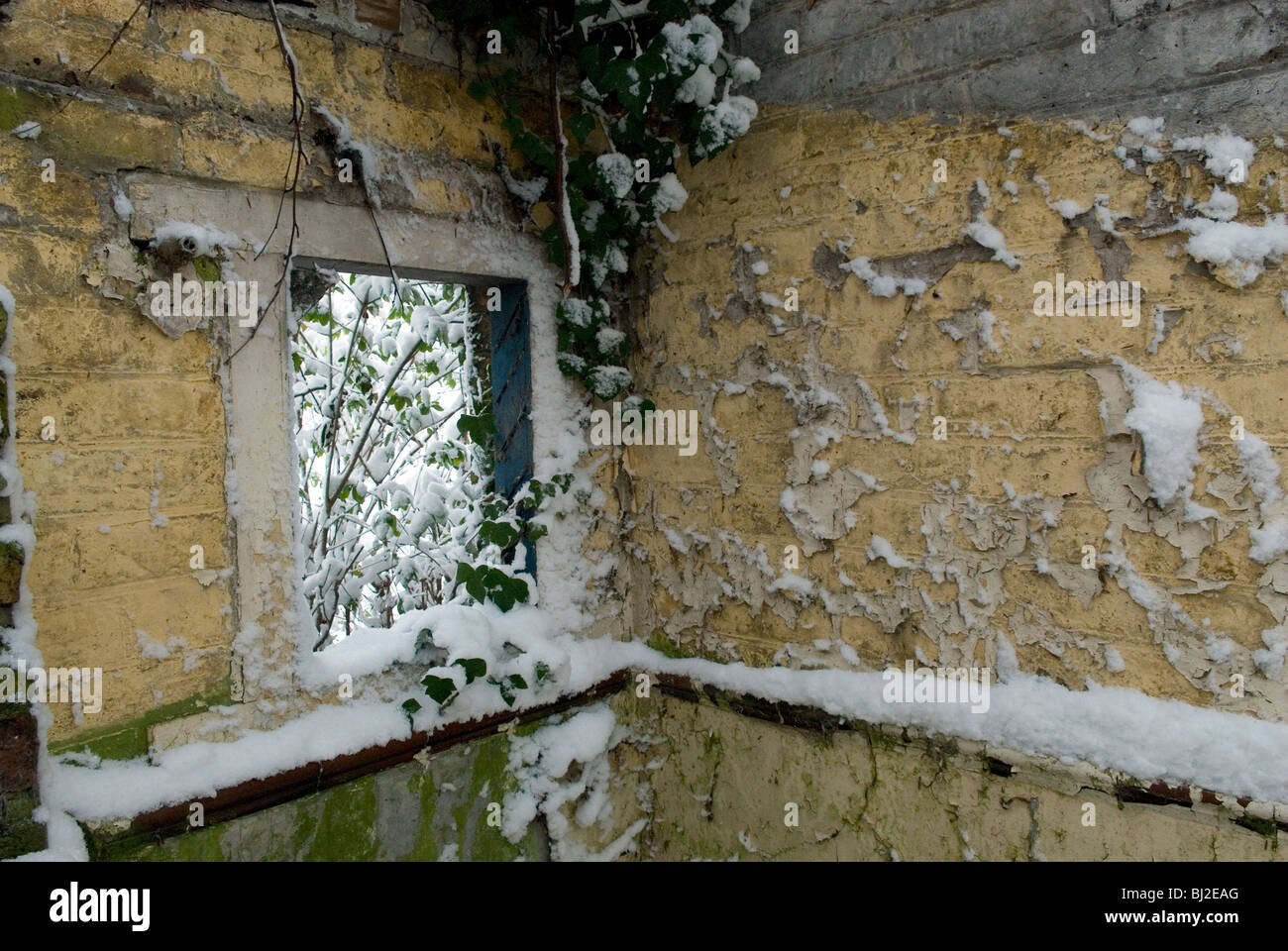Interior of abandoned house covered in snow Stock Photo - Alamy