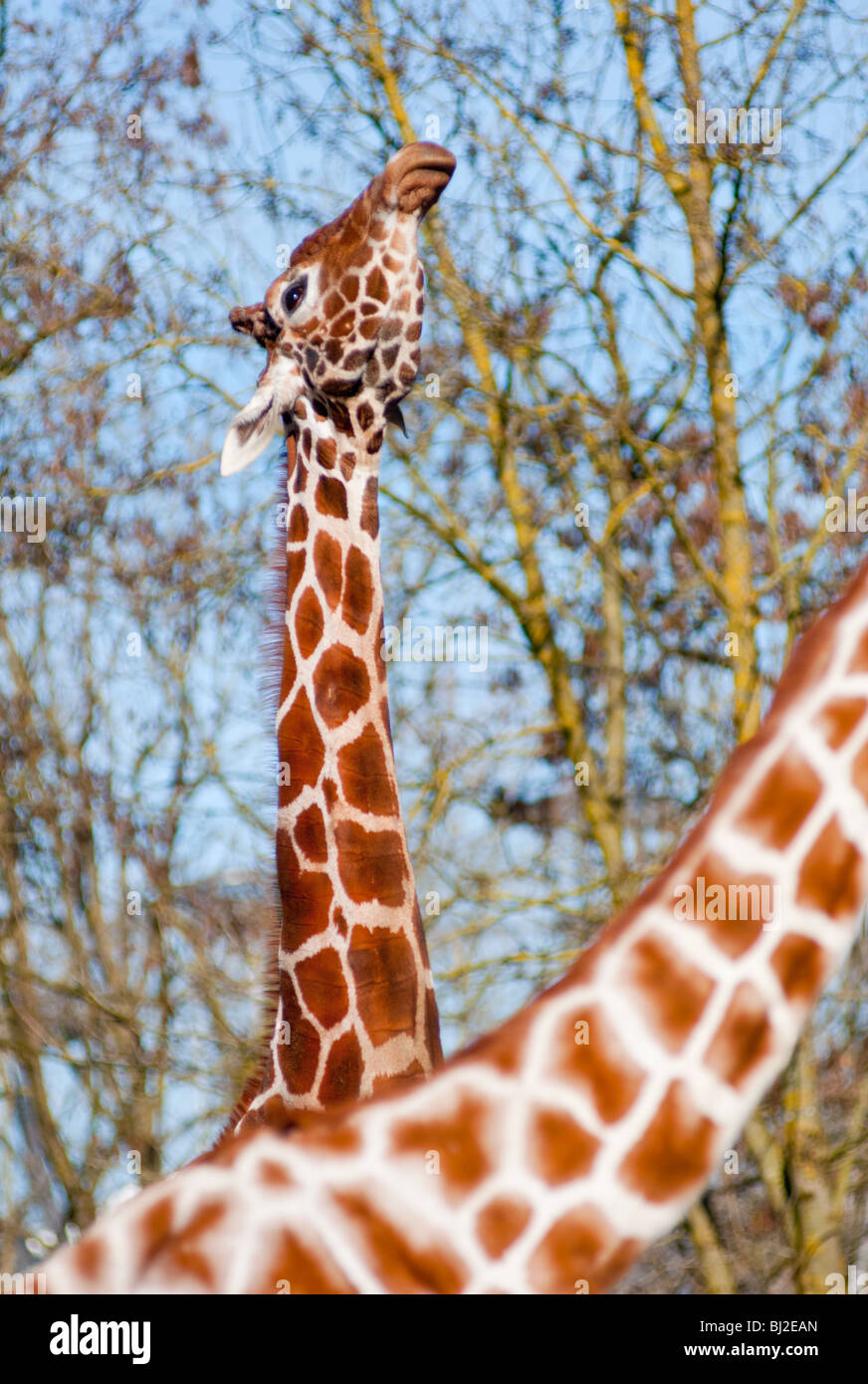 High higher highest hi-res stock photography and images - Alamy