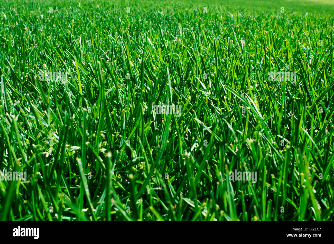 Mow angle view hi-res stock photography and images - Alamy