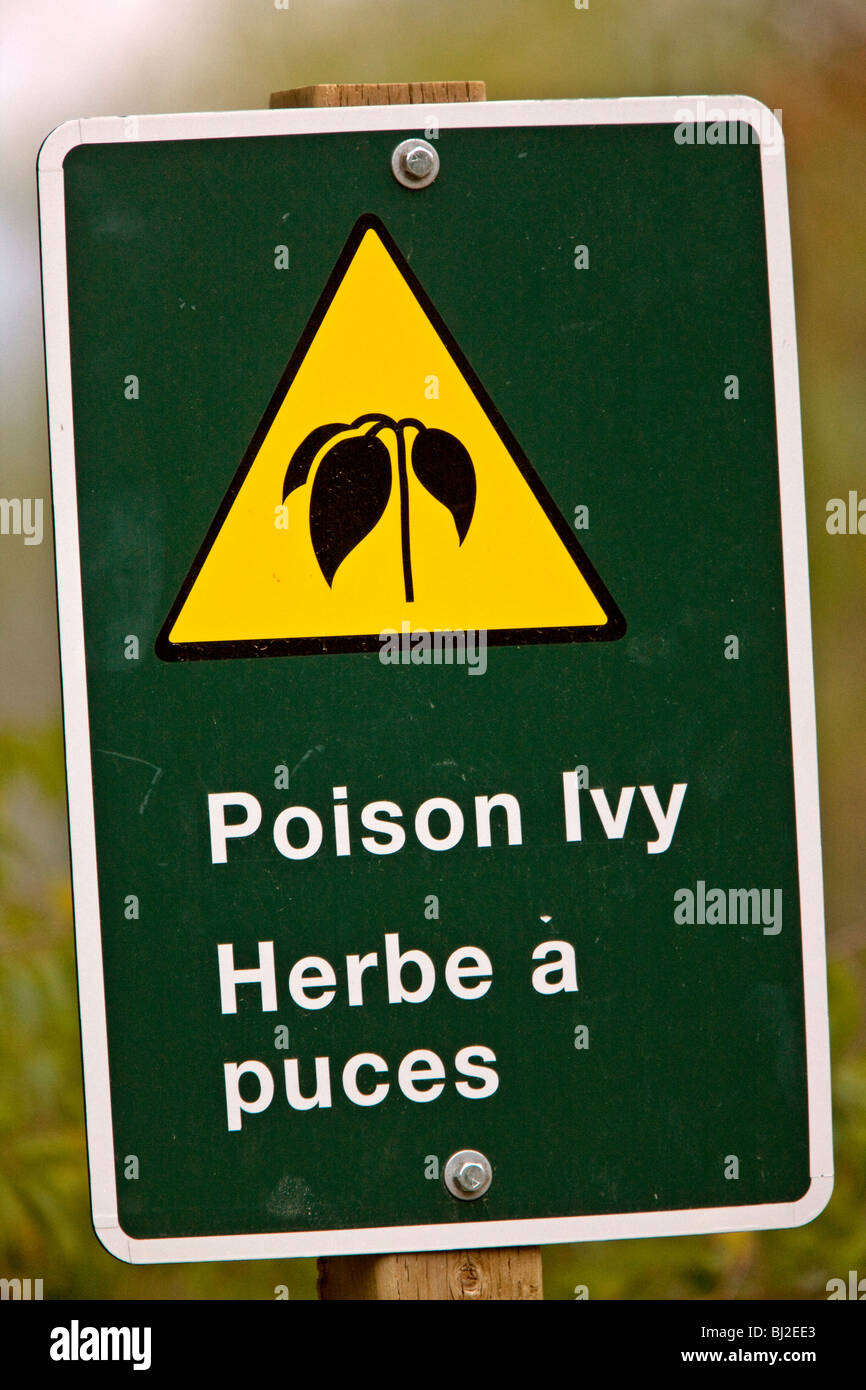Poison Ivy Sign Stock Photo - Alamy