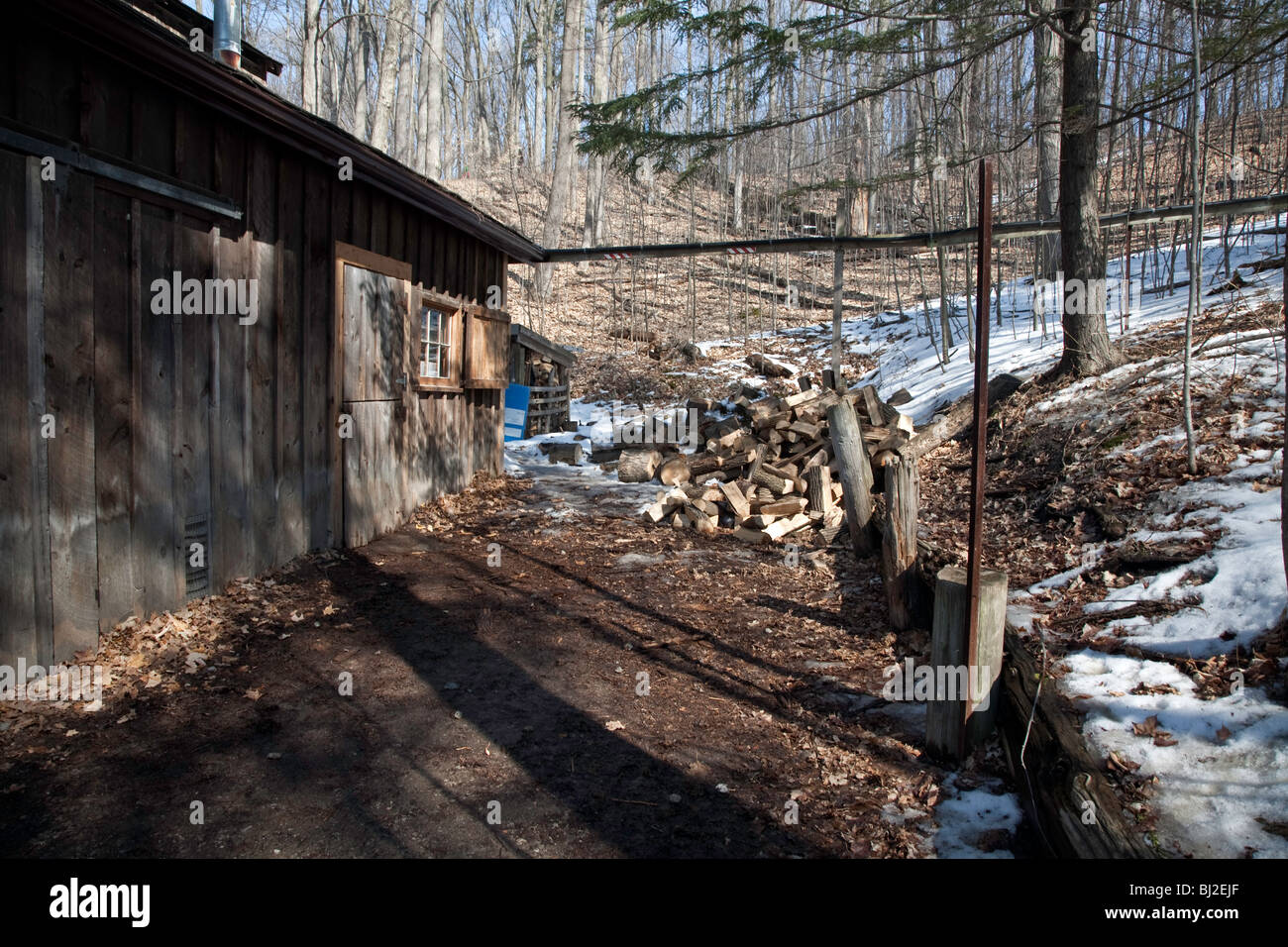 Maple syrup sugar shack wood hi-res stock photography and images - Alamy