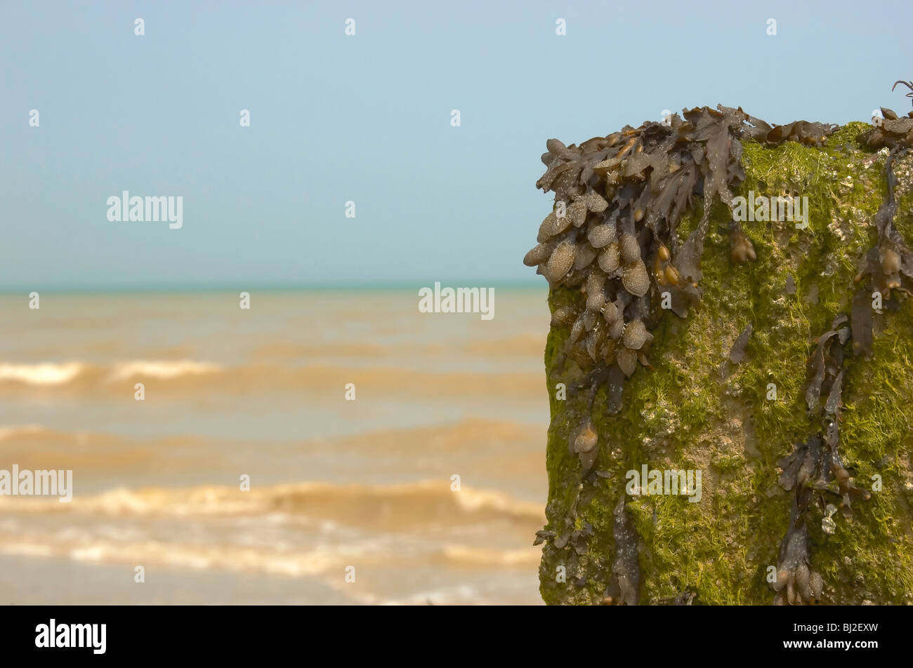 Storm Defenses on the beach Stock Photo - Alamy
