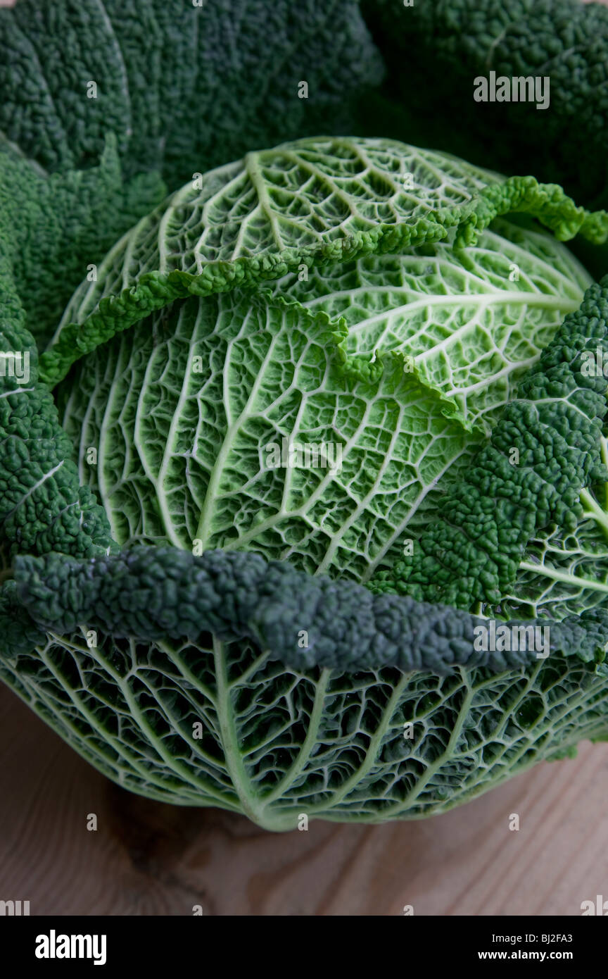 Savoy greens hi-res stock photography and images - Alamy