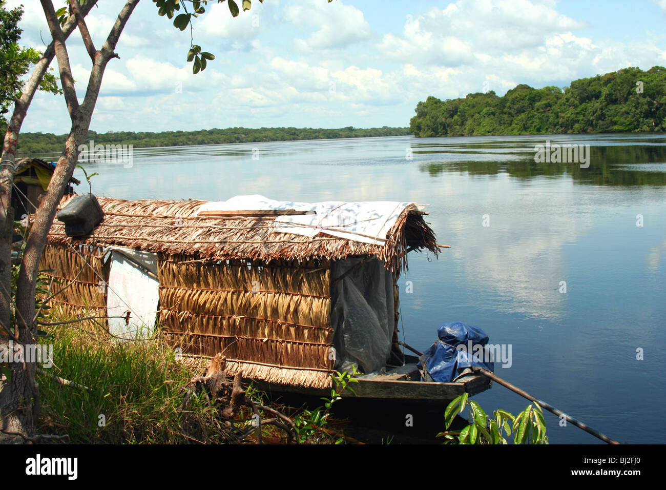 A motorized canoe by the side of a blackwater river in Brazilian ...