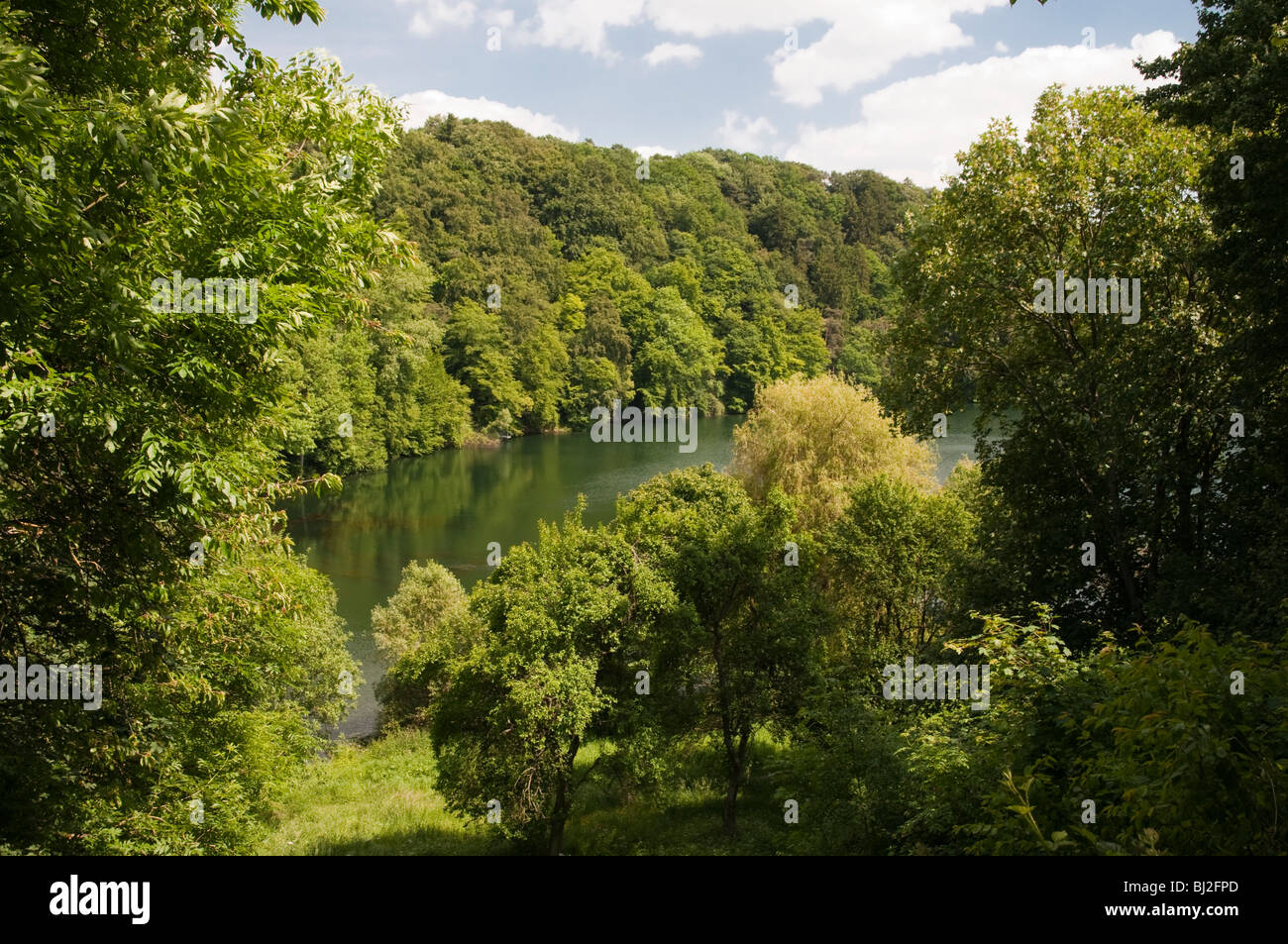 Ulmen hi-res stock photography and images - Alamy