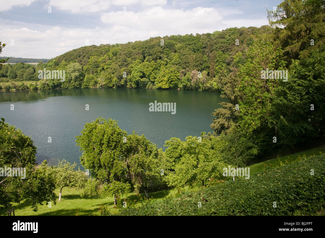 Ulmen hi-res stock photography and images - Alamy