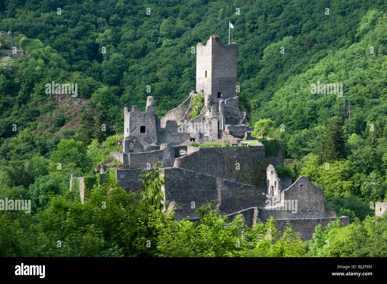 castle Niederburg, Manderscheid, , Eifel, Rhineland-Palatinate, Germany ...