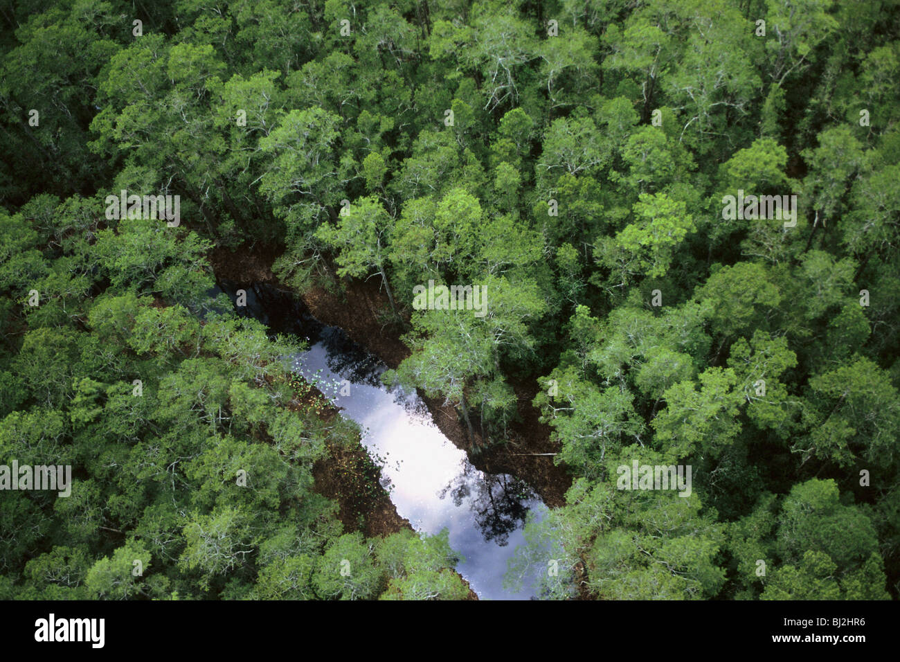Suwanee river hi-res stock photography and images - Alamy