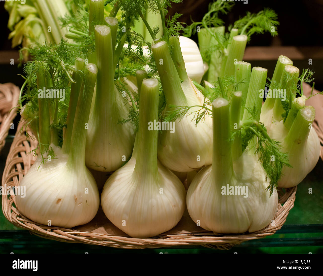 Fennel plants hi-res stock photography and images - Alamy