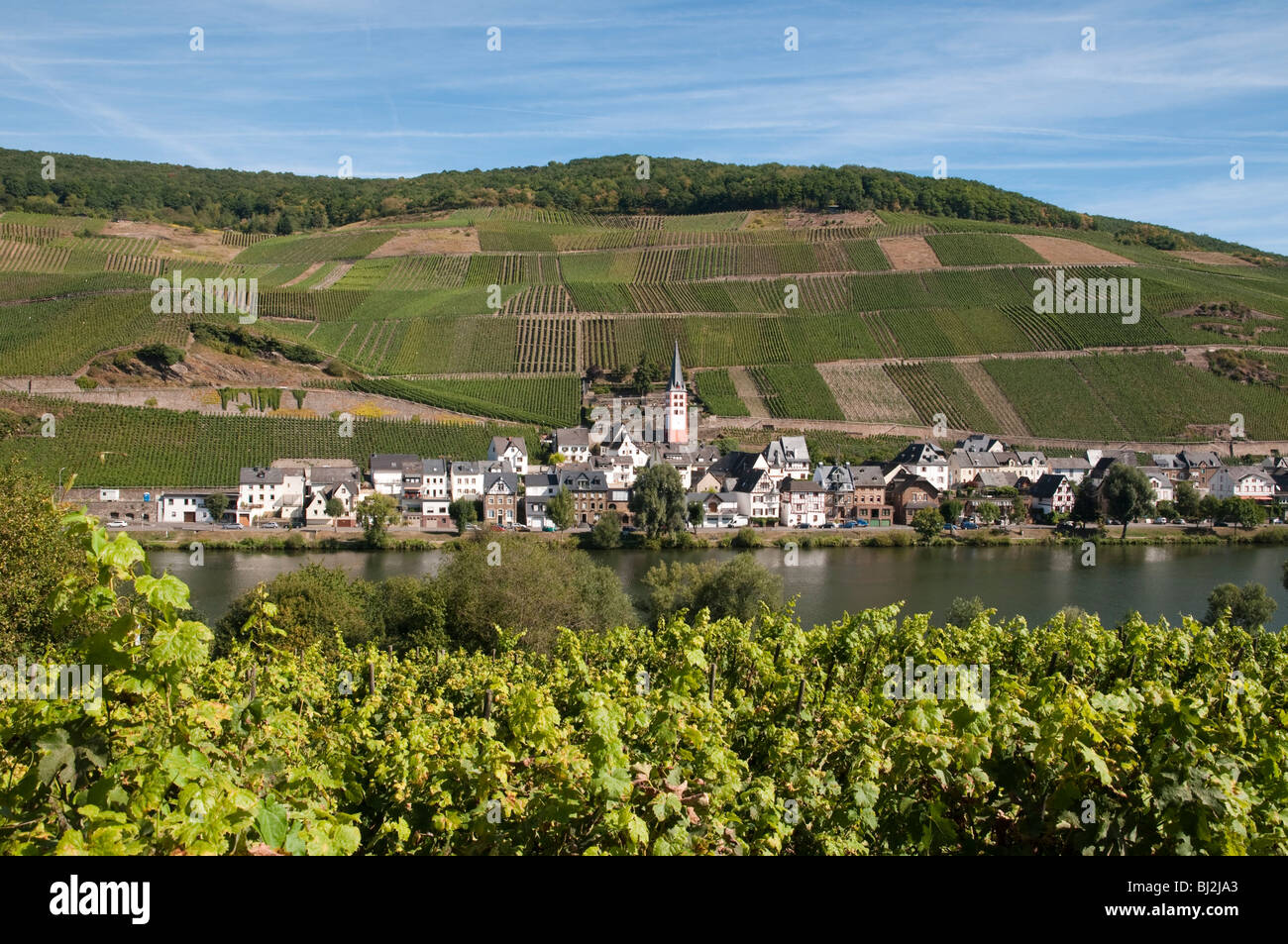 Zell merl hi-res stock photography and images - Alamy
