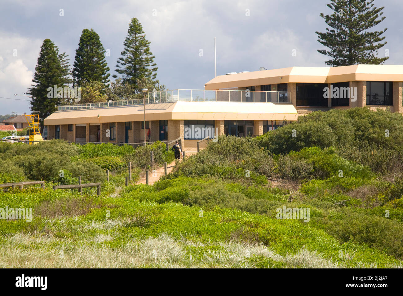 surfer walks to the entrance of narrabeen surf life saving club Stock ...