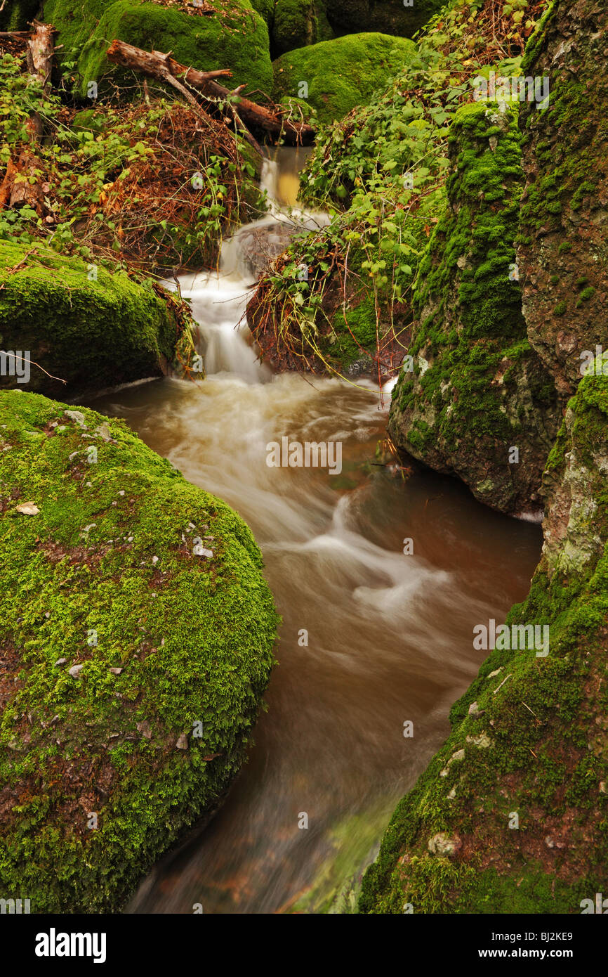 A stream flows through moss covered rocks Stock Photo - Alamy