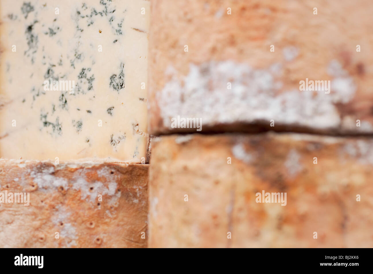 Stichelton cheese displayed for sale at a london market focusing on the ...