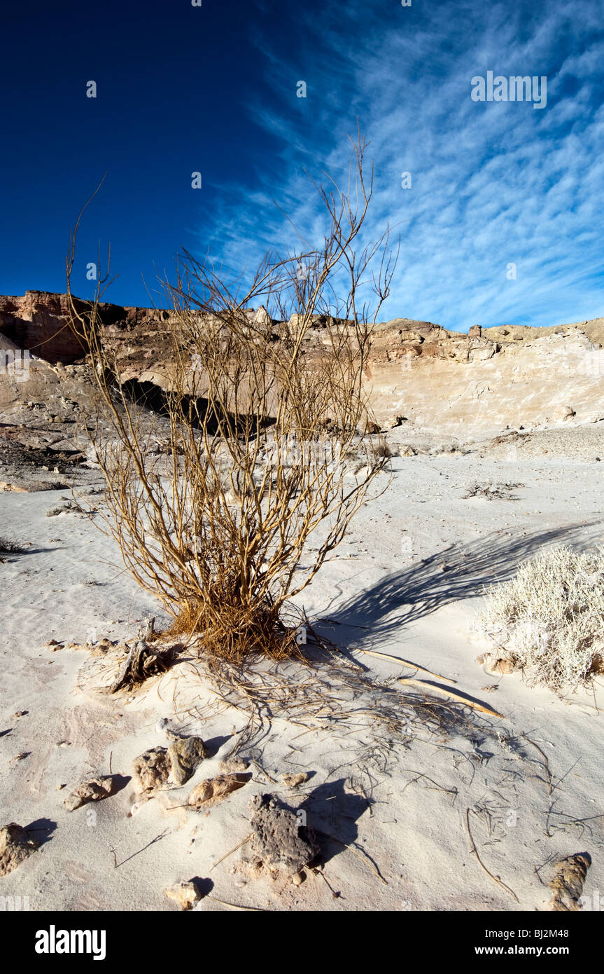 Empty dry desert plane hi-res stock photography and images - Alamy