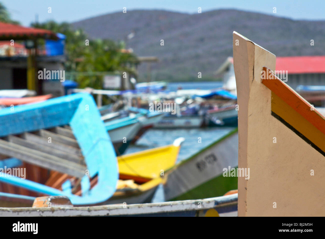 MOCHIMA , PARQUE NACIONAL , NATIONAL PARK bow of UN PENERO BOW OF A ...