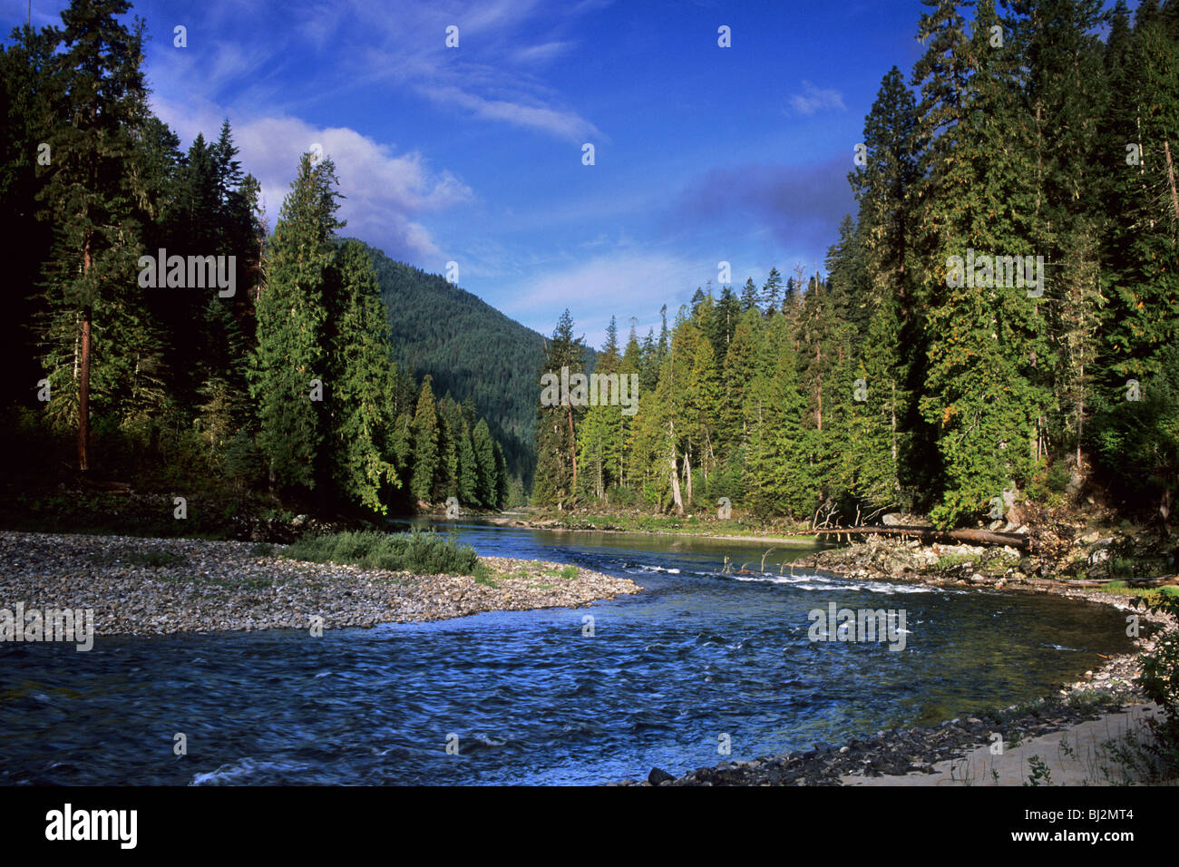 Selway River Stock Photos & Selway River Stock Images - Alamy