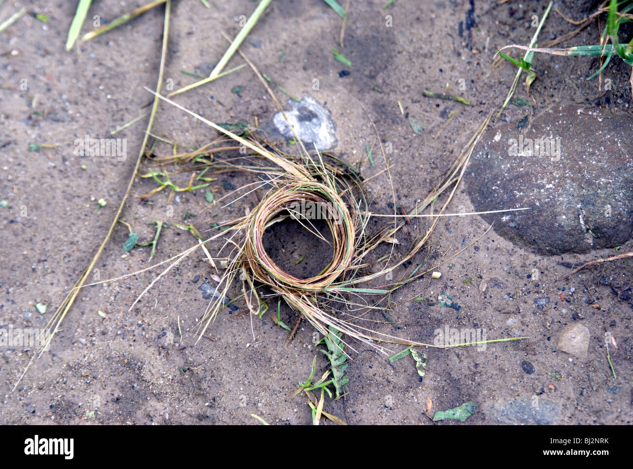 Magic ring hi-res stock photography and images - Alamy