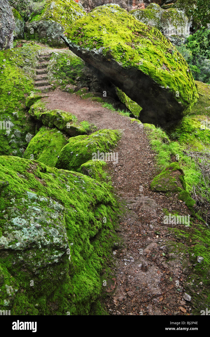 Path through moss covered rocks Stock Photo - Alamy