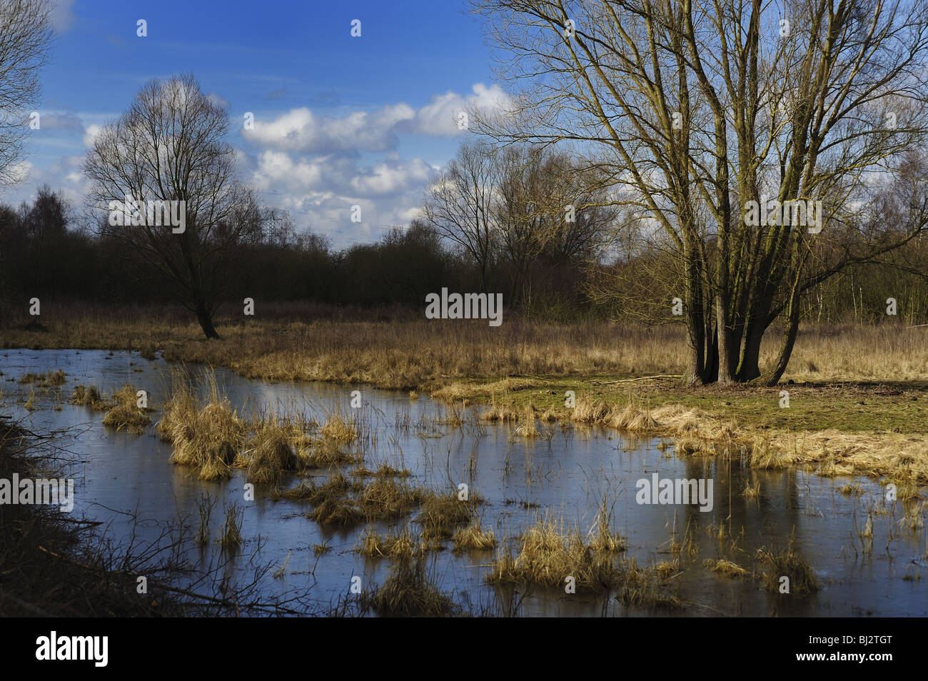 Marshland , Lincolnshire Stock Photo - Alamy