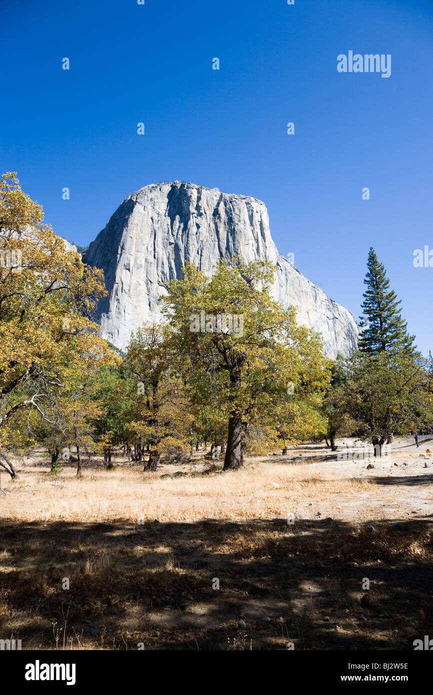 El capitan face hi-res stock photography and images - Alamy