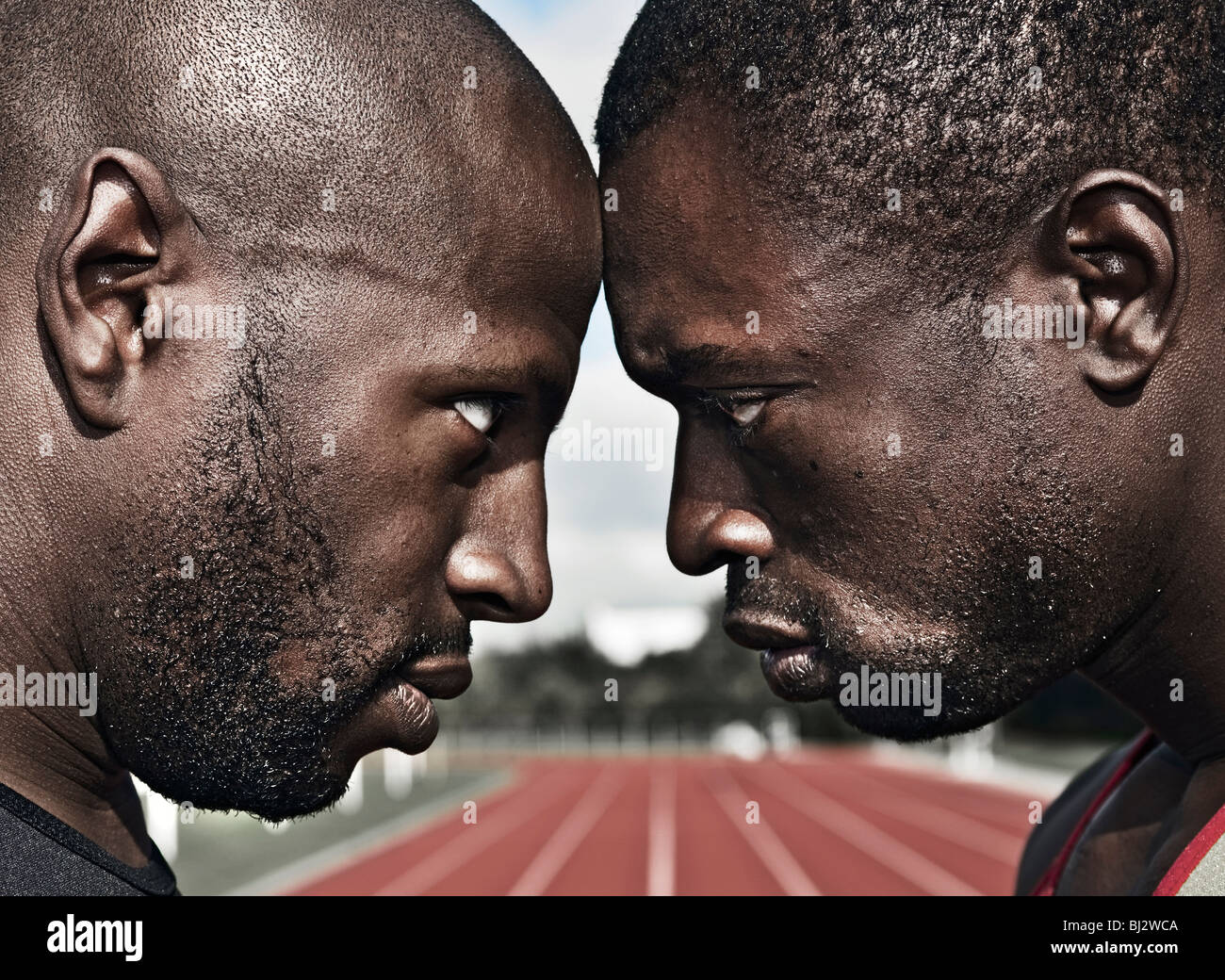 2 male athletes stare, head to head Stock Photo - Alamy