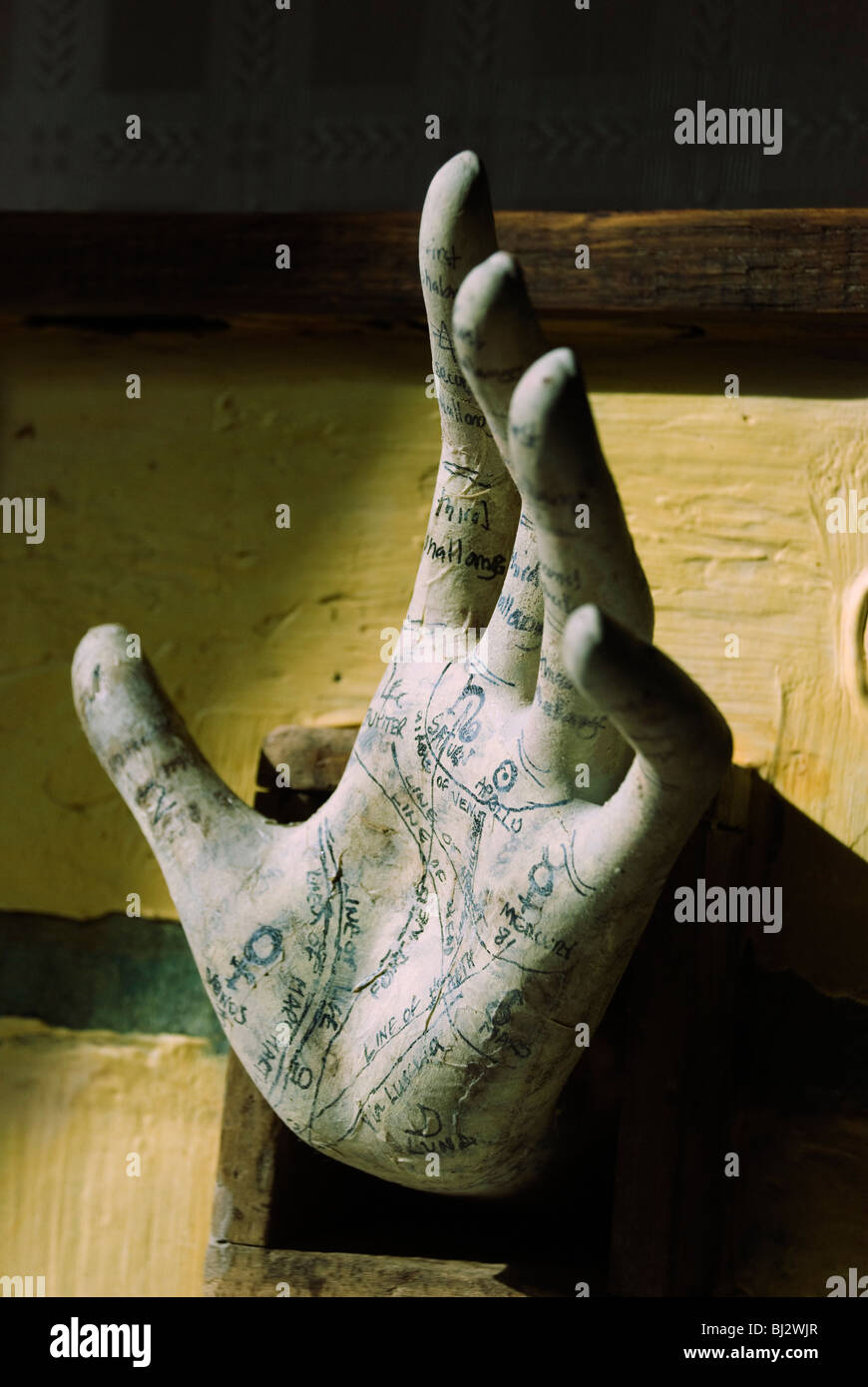 The art of palmistry hi-res stock photography and images - Alamy