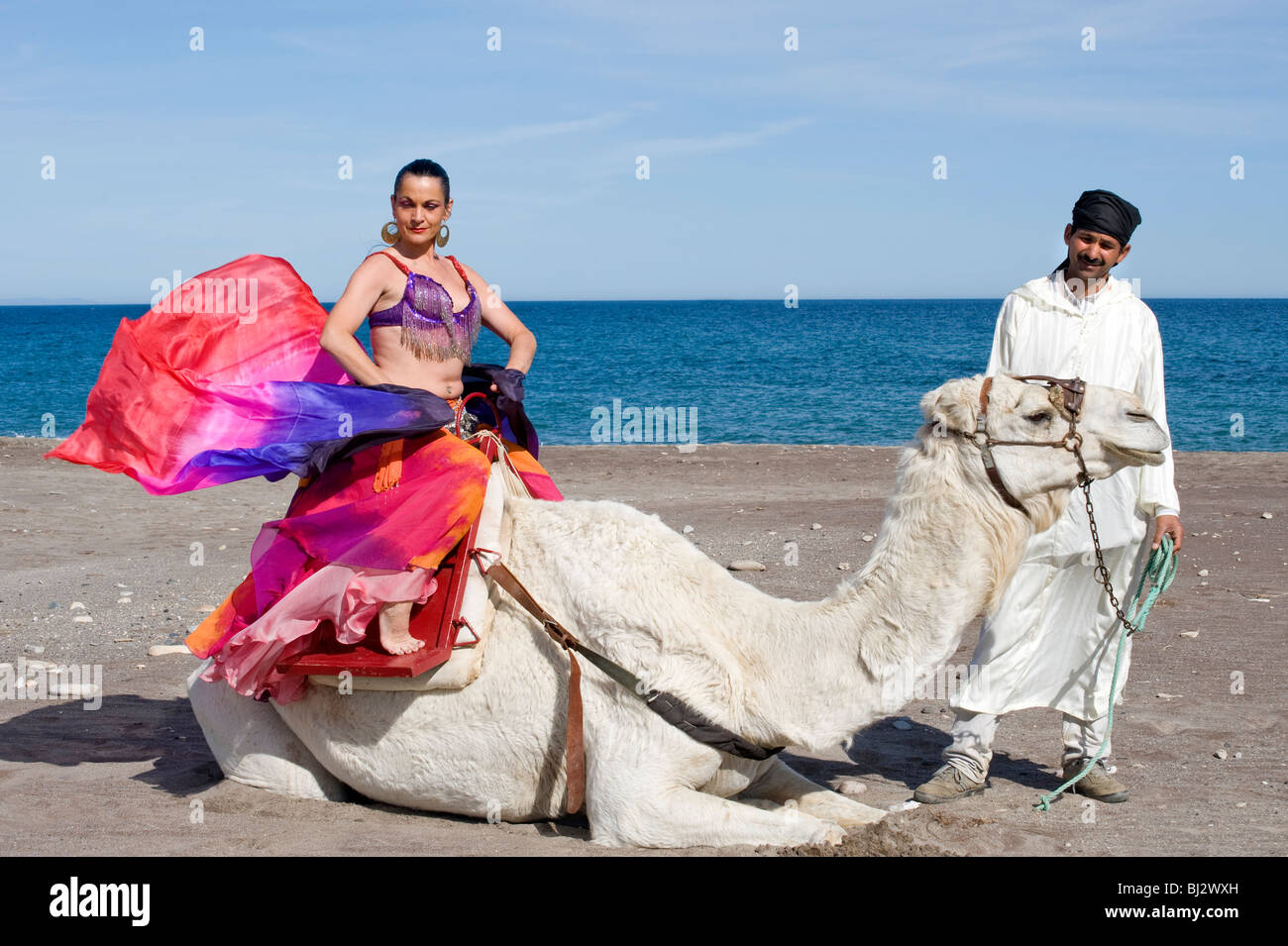 Belly Dancer sitting on a Camel with veil Stock Photo - Alamy