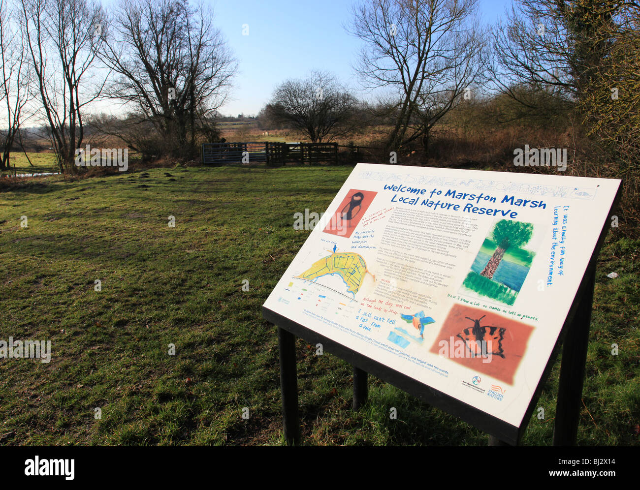 Marston Marshes Nature Reserve, Norwich, Norfolk Stock Photo - Alamy