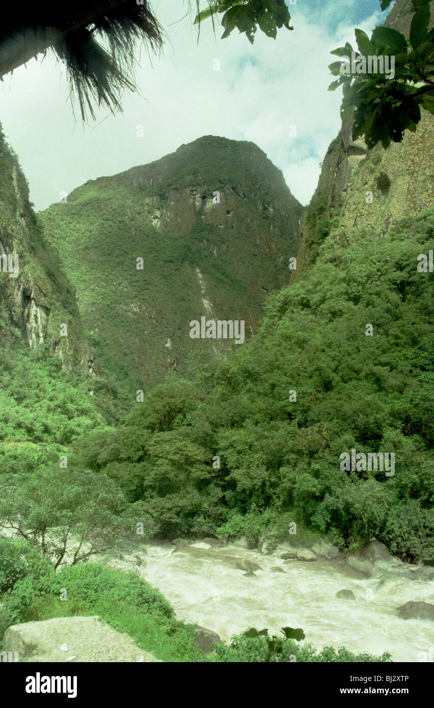 Amazon River in Peru Stock Photo - Alamy