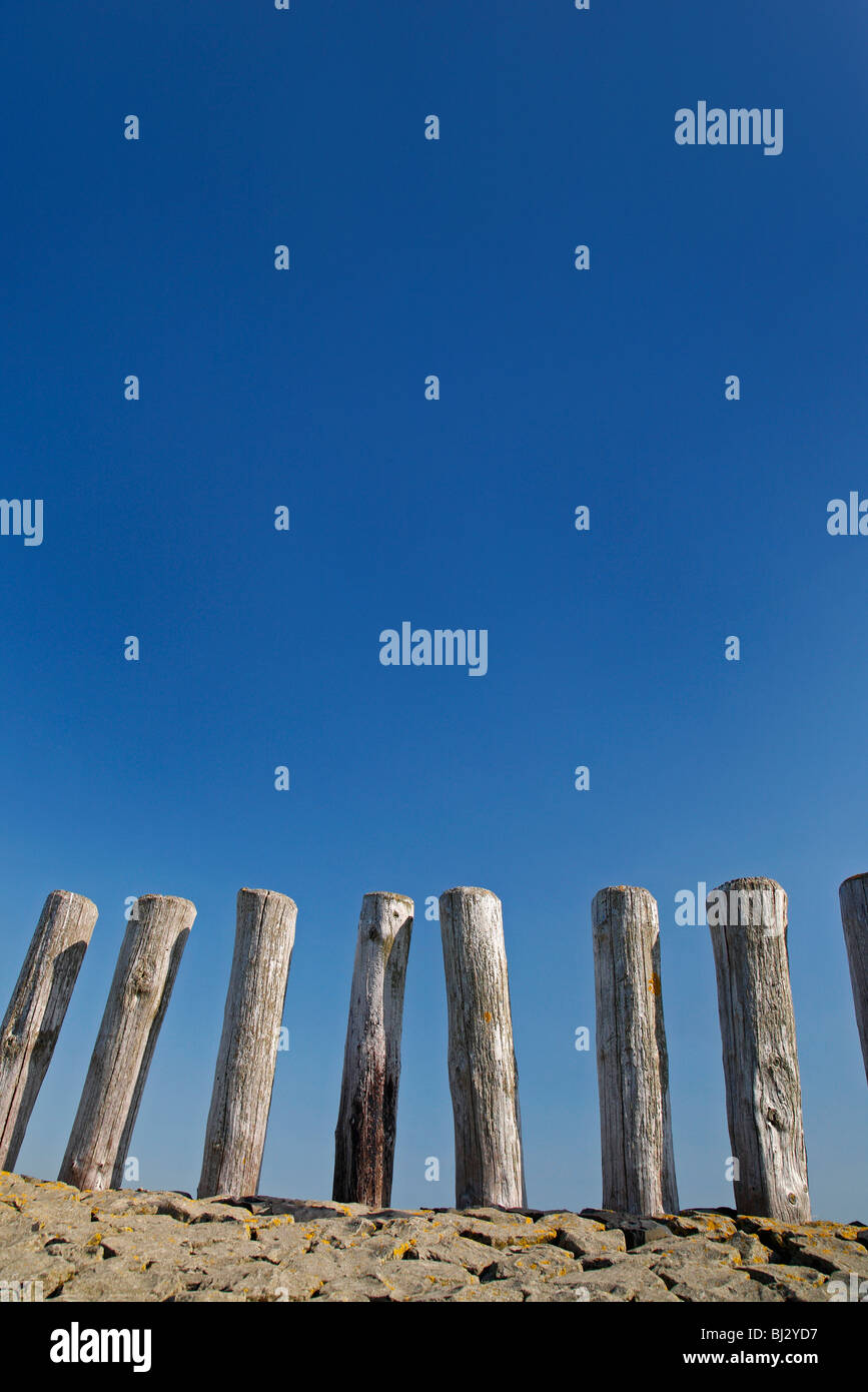 Row of wooden poles on breakwater at the beach at Hoofdplaat in Zealand ...