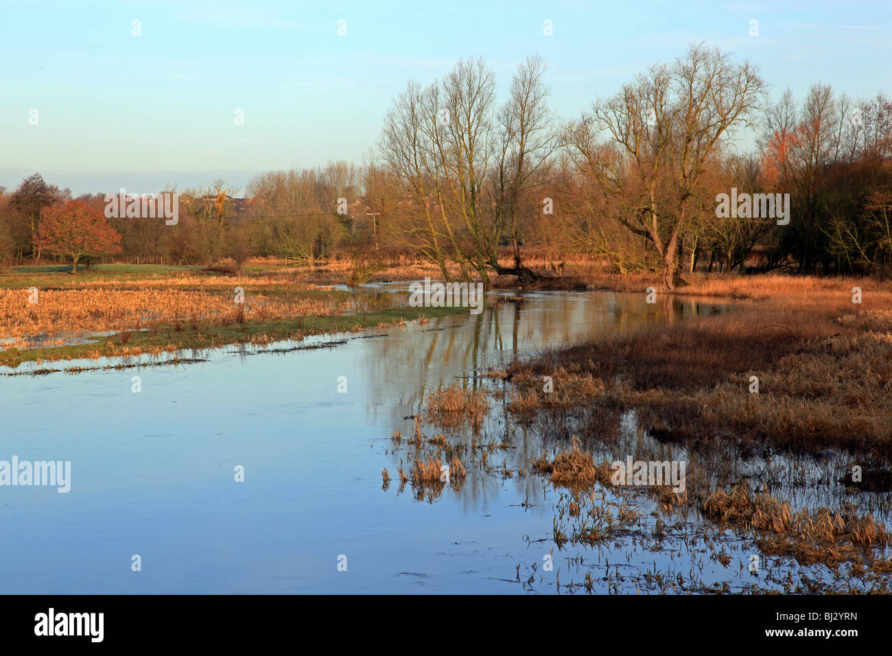 River Yare at Marston Marshes Nature Reserve, Norwich, Norfolk Stock ...