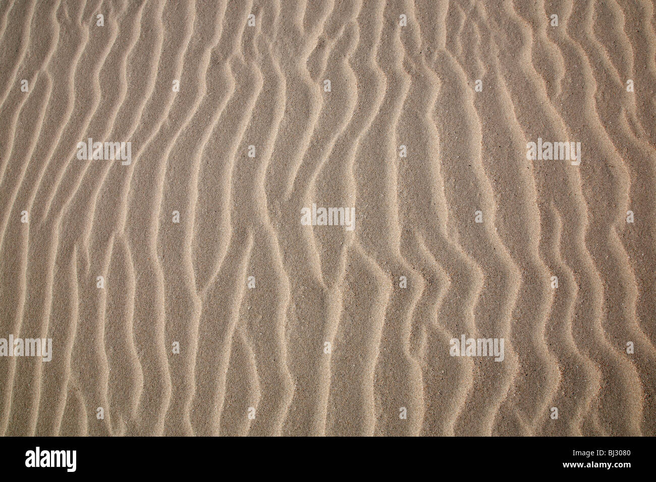 Pattern of sand ripples on beach Stock Photo - Alamy