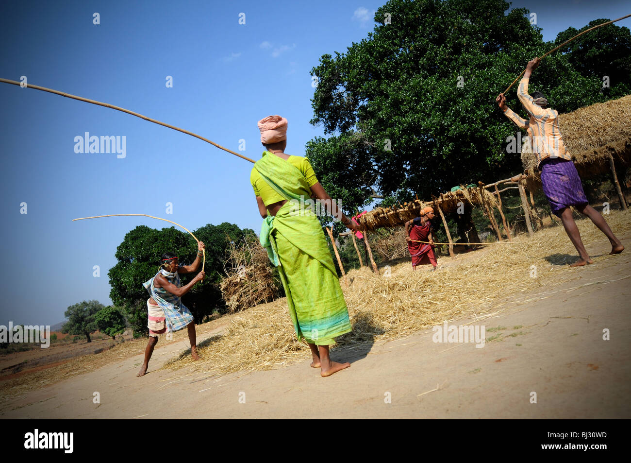 Gadba Tribal People Stock Photo - Alamy
