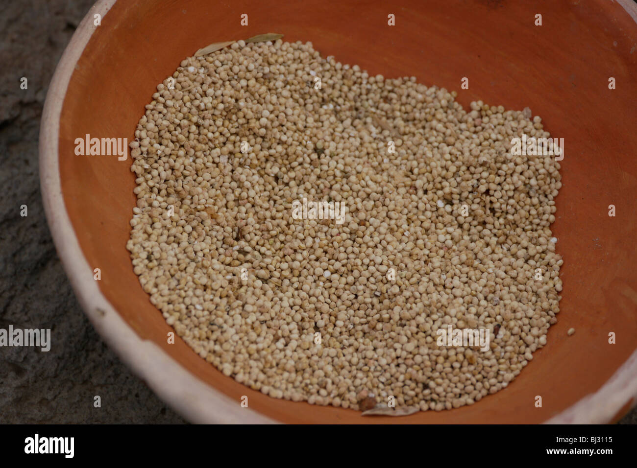 PERU Aymara farmers' dwelling near Sillustani, Puno. Examples of staple ...