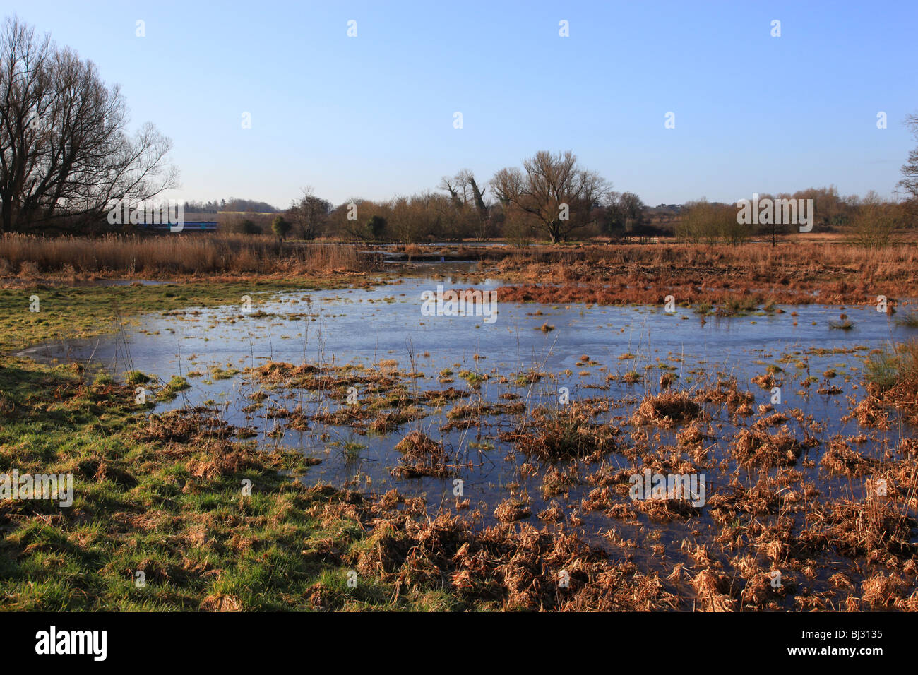 Marston Marshes, Norwich, Norfolk, England Stock Photo - Alamy