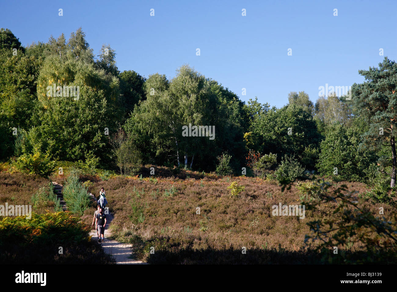 Walkers in the Hoge Kempen national park at Lanaken, Belgium Stock ...