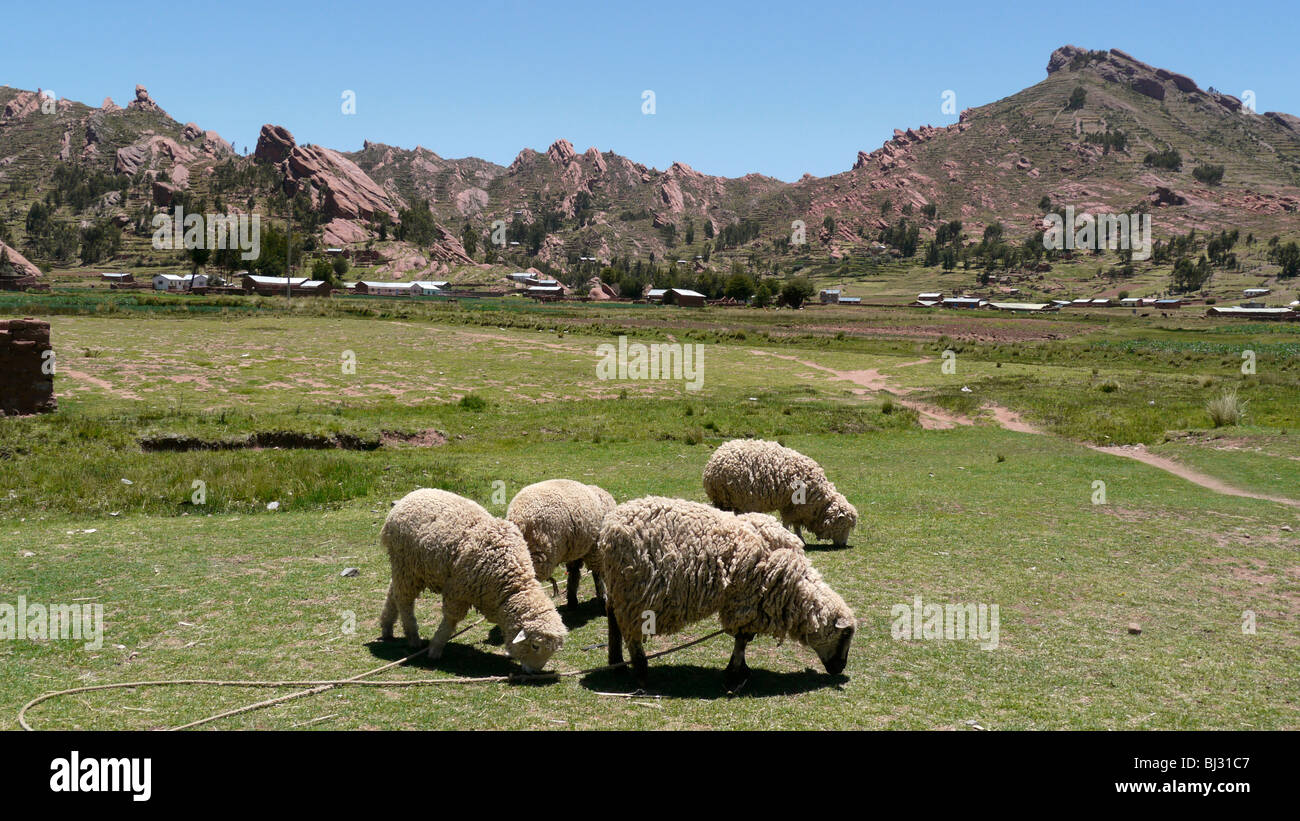 PERU Landscape at Jayllihuaya, Puno. photo (C) Sean Sprague 2009 Stock ...