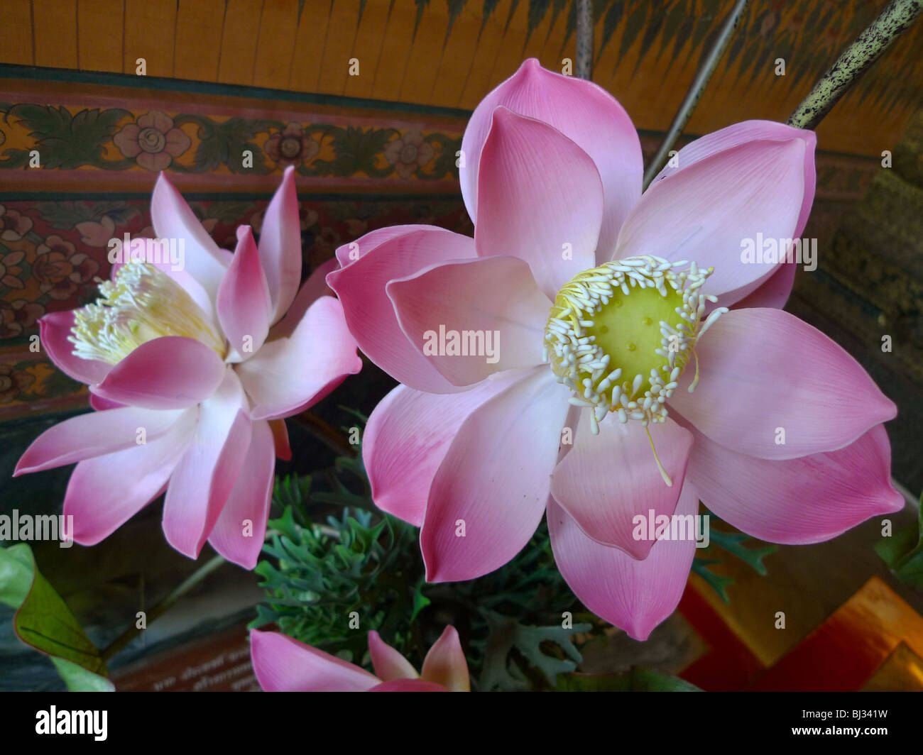 THAILAND Wat Po, Bangkok. Lotus flowers. PHOTOGRAPH by SEAN SPRAGUE ...