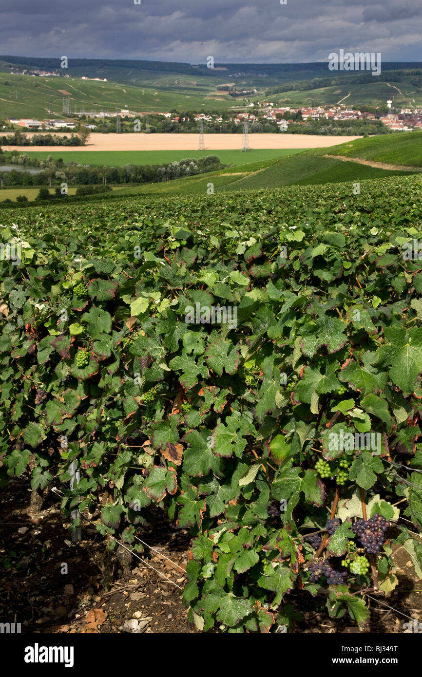 Reims champagne hi-res stock photography and images - Alamy