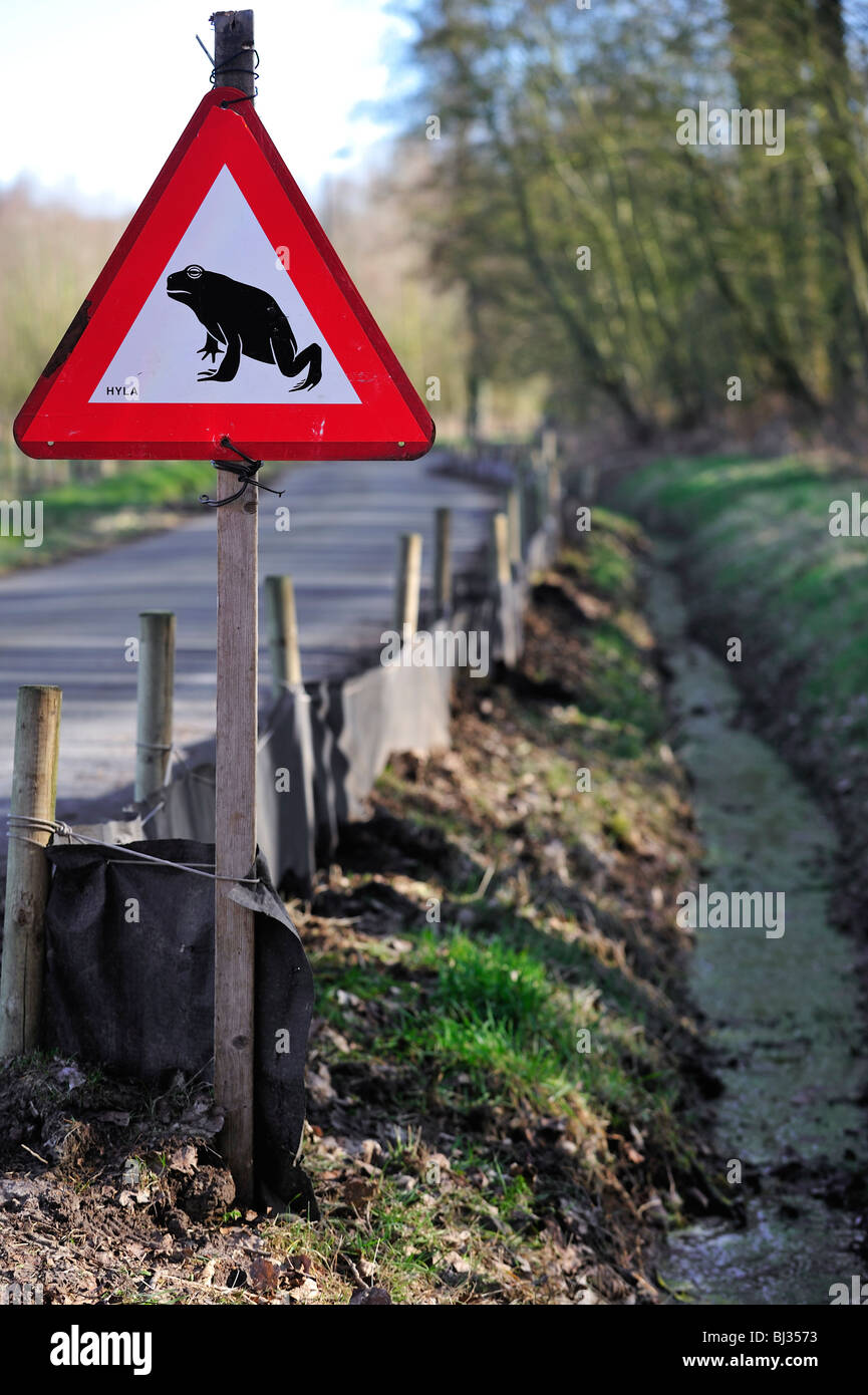 Traffic sign toad migration hi-res stock photography and images - Alamy