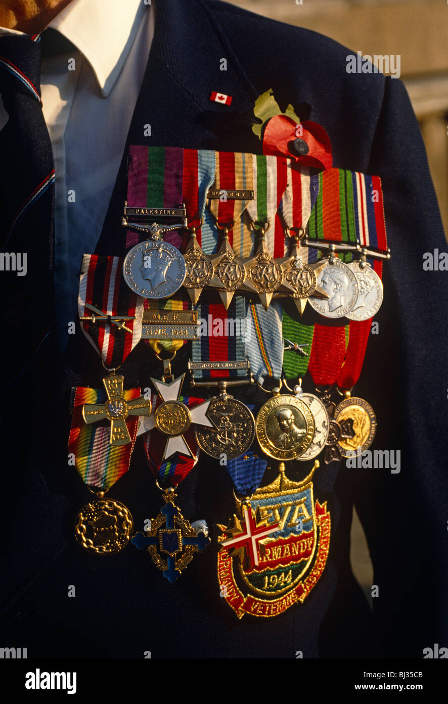 Detail second world war Canadian veteran's chest, festooned with ...