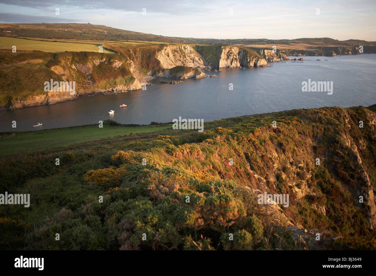 The rocky coastline is at Dinas Head in Pembrokeshire, Wales Stock ...