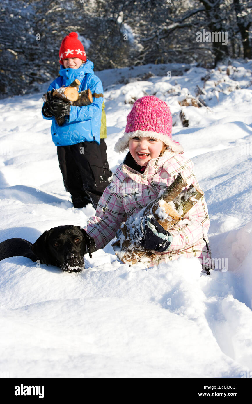 Children and dog collecting wood in snow Stock Photo - Alamy