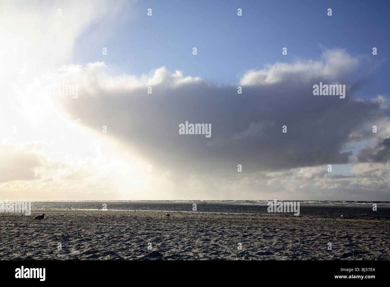A beach, Amrum, Germany Stock Photo - Alamy