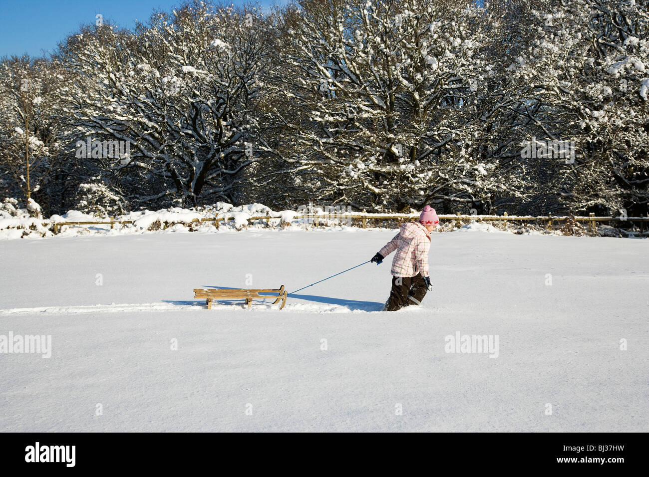 Young girl pulling sledge in snow Stock Photo - Alamy